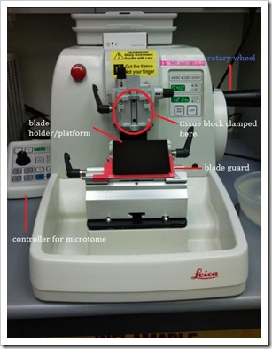 medtechrush.blogspot: Histology - Microtomy